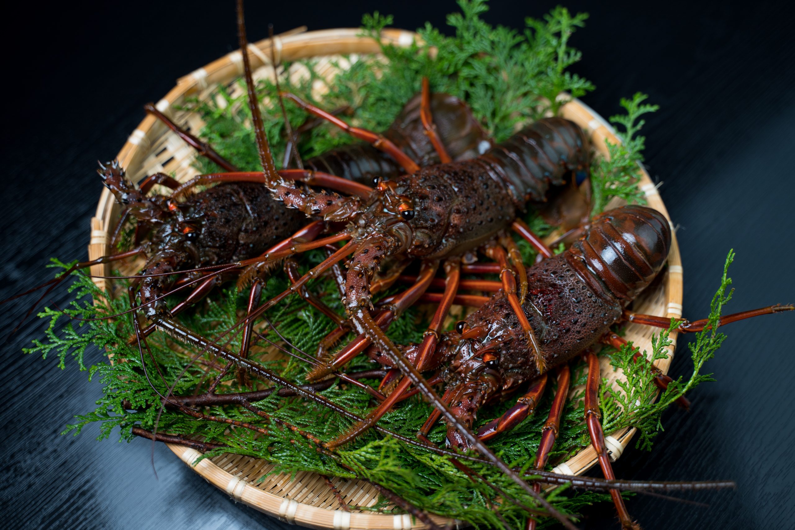 伊勢海老 | 徳島県観光情報サイト阿波ナビ